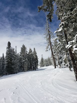 Timberline Lodge Snow
